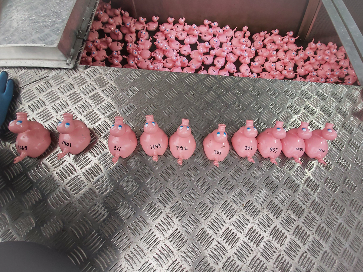 Kaikki turkulaiset haastetaan adoptoimaan vähintään yksi kylpyposankka ...